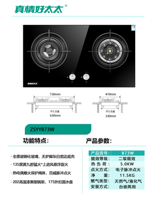 中山市真情好太太电器有限公司官网｜真情好太太厨卫电器｜真情好太太